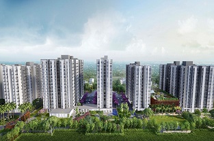 Bangalore